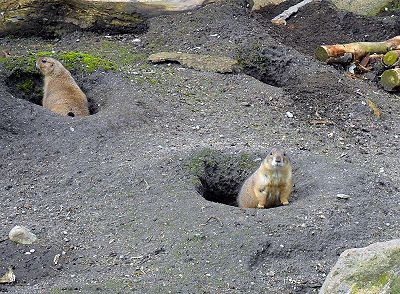 Doreens kreative Welt: Ausflug Tierpark Delitzsch