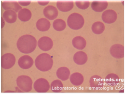 Blog del Laboratorio clinico : Por tamaño