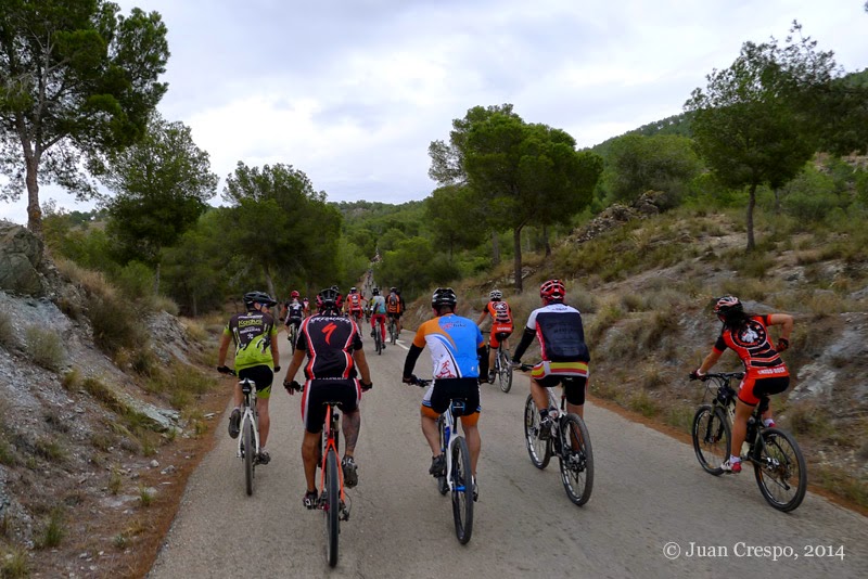 Rafael Llamas (In memoriam) | el de la dahon