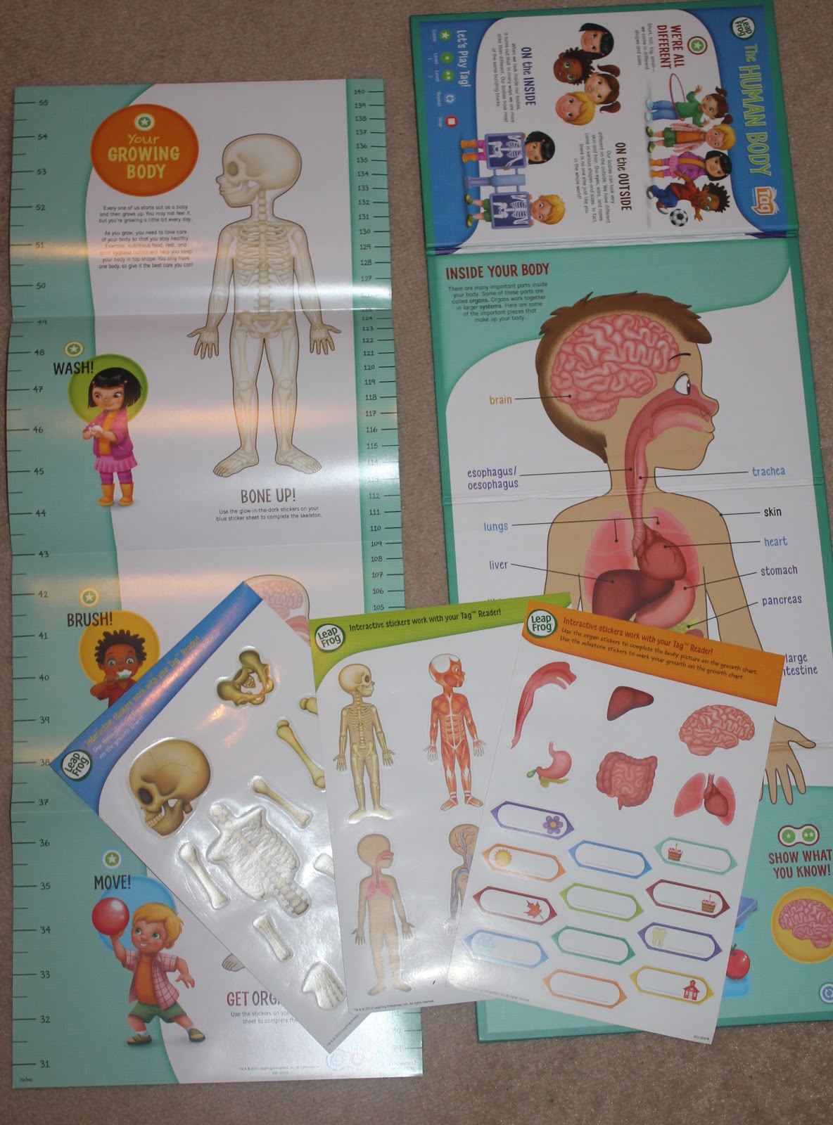 Craftaholic: LeapFrog Interactive Human Body Discovery Pack