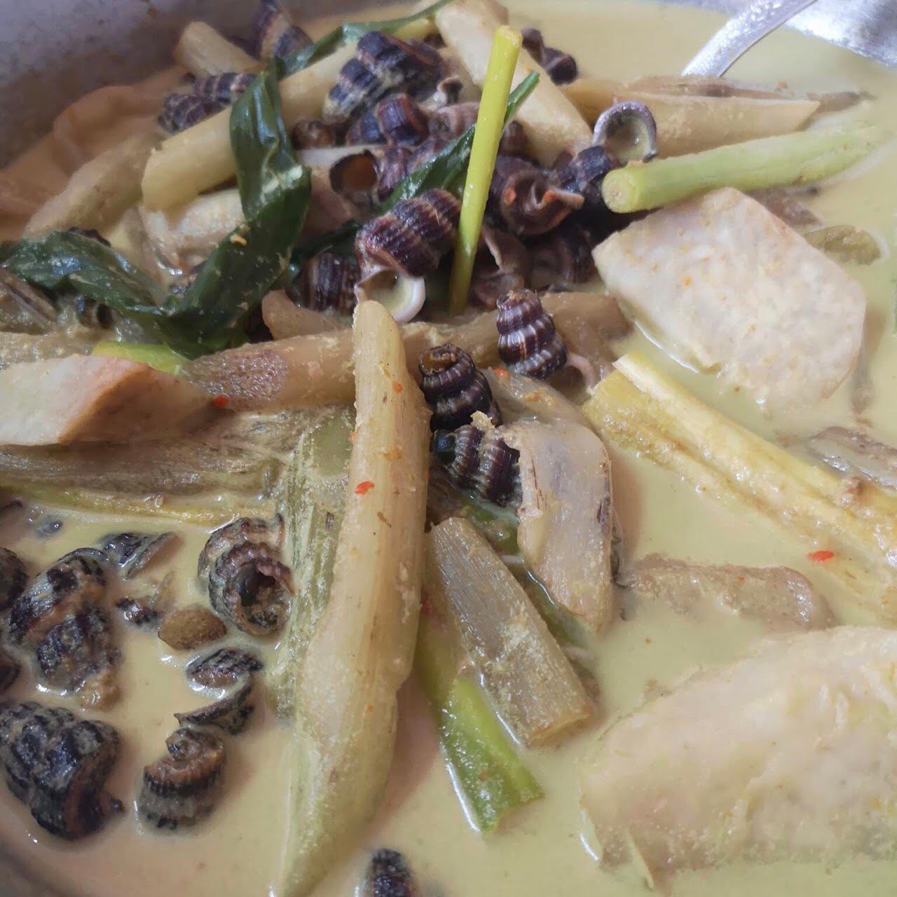 Resepi 1 Kilo Siput Lemak Cili Padi / Siput Sedut@ Tekoyong Masak Lemak ...