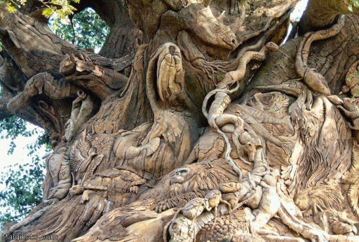 VIRAL PHOTOS - THE AMAZING COLLECTION: Wood Sculpture in a Tree