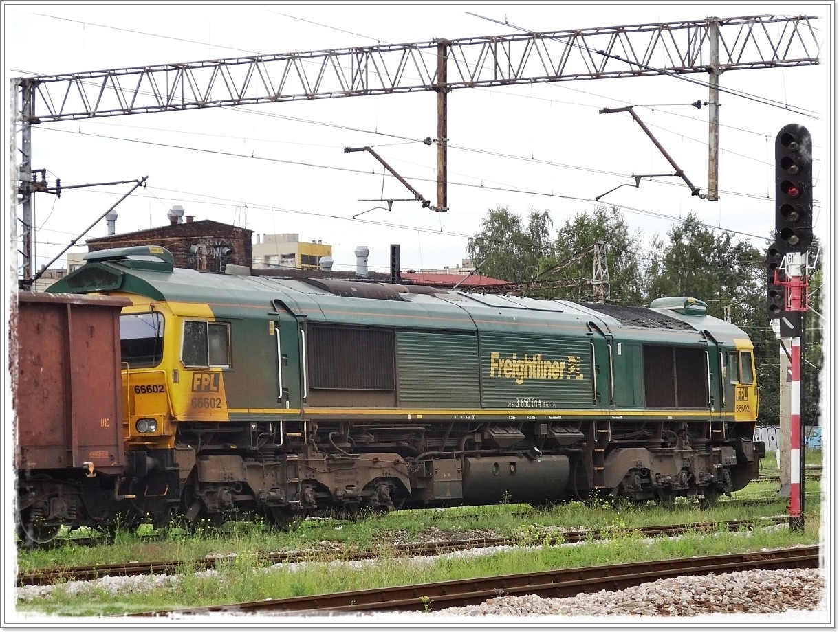 Spłoszony Szerszeń 66602 FPL | Kolejowe Kielce