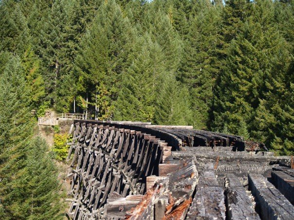 Vancouver Island Big Trees: Canada's Tallest Timber Trestle Re-opens ...