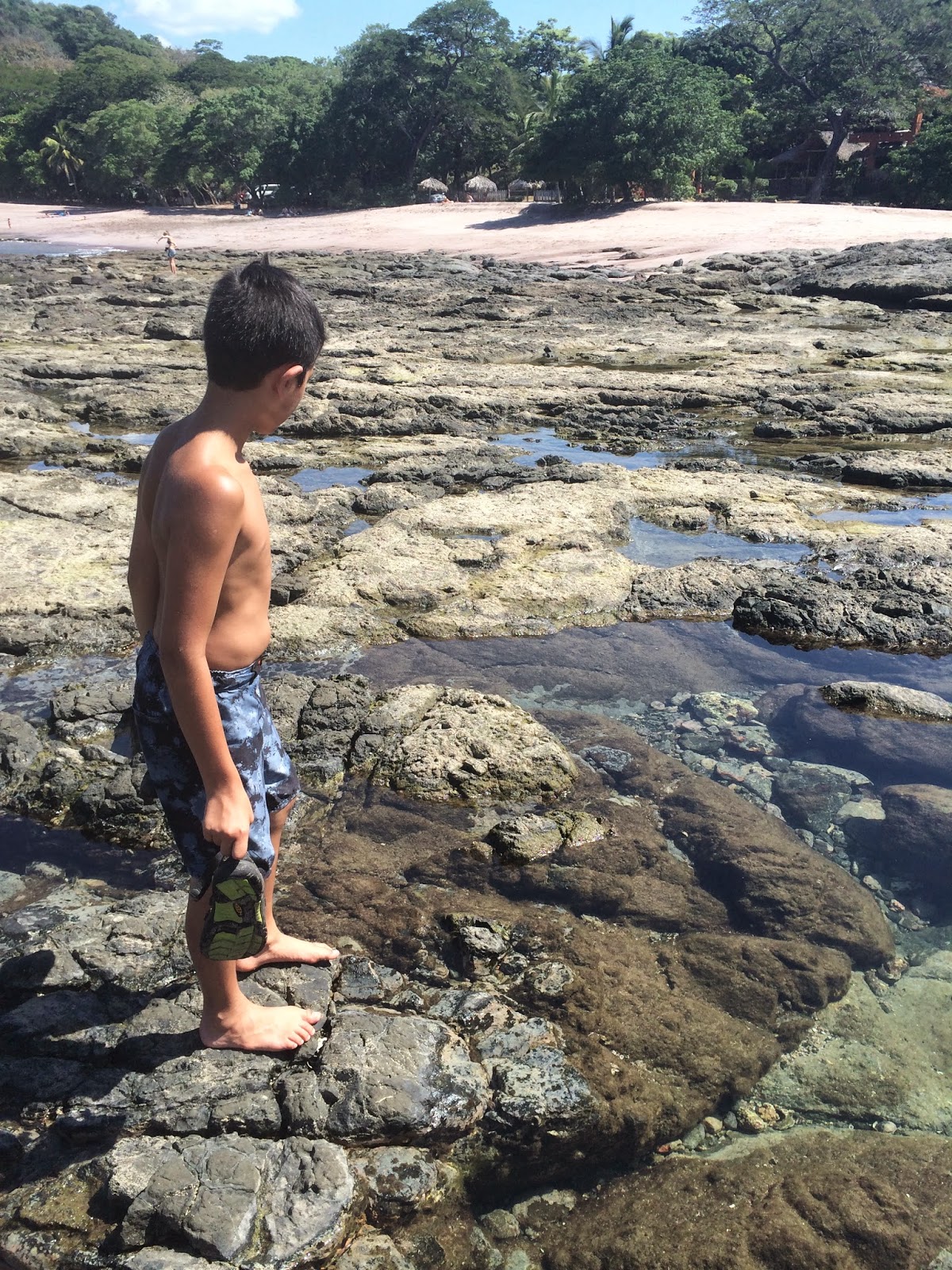 Costa Rica Scavenger Hunt....: 2014