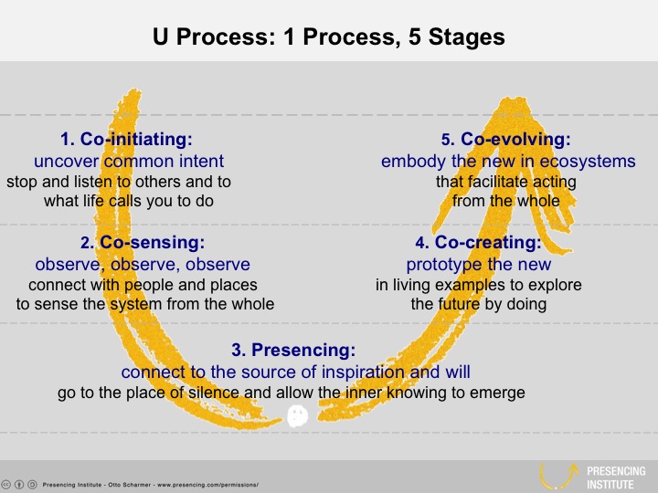 Theory U Co Evolving