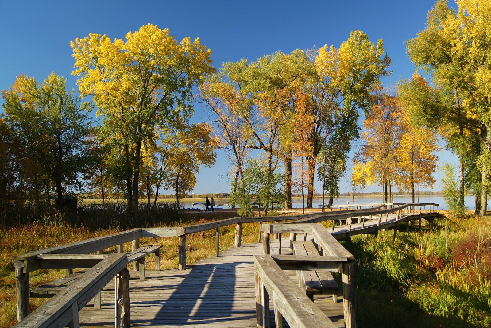 Collections by Carol: Jellystone Park - Fremont, WI