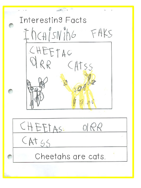 Joyful Learning In KC: Animal Research Writing