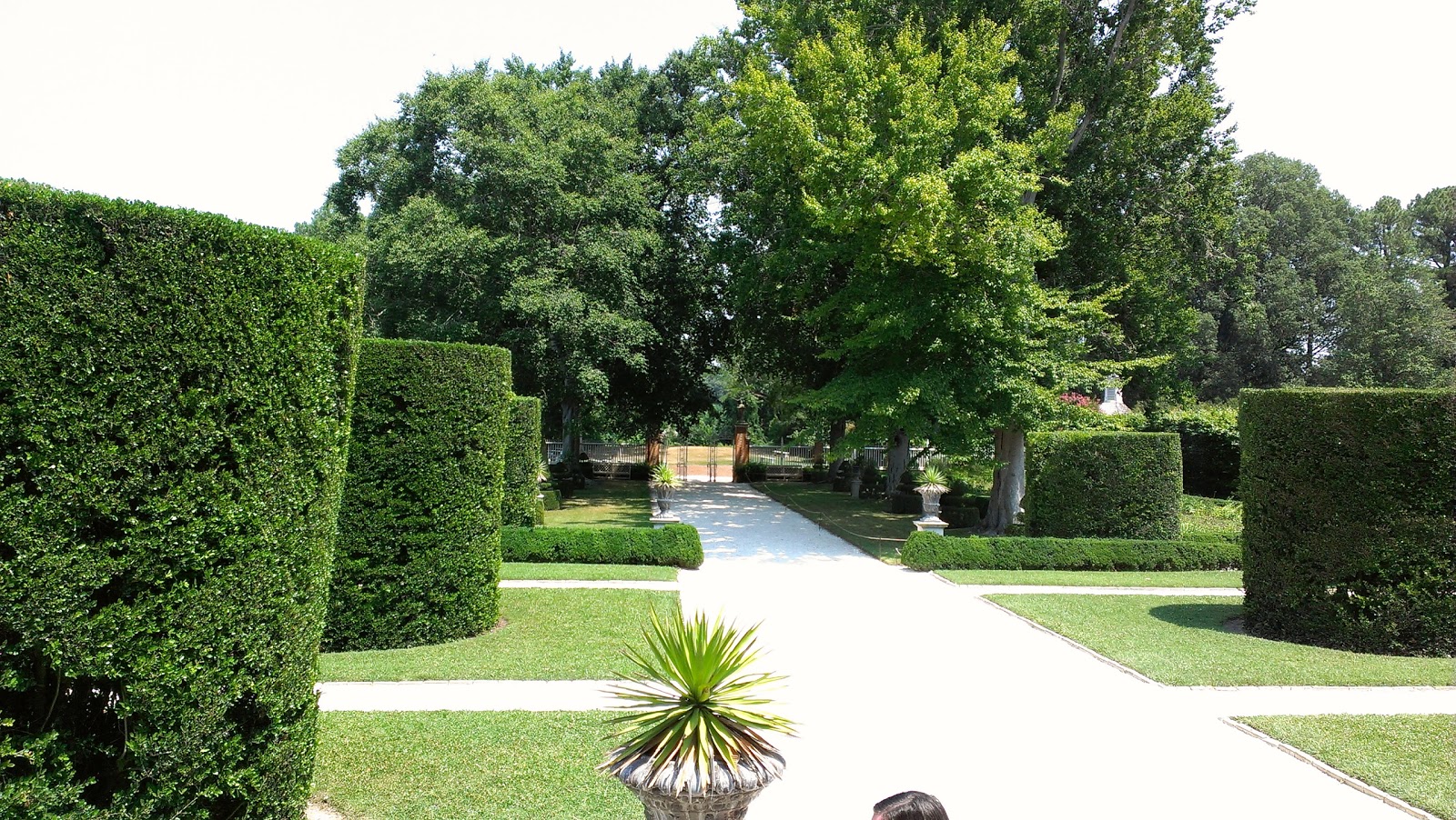 On the Lincoln Highway... and beyond with Chris Hutter.