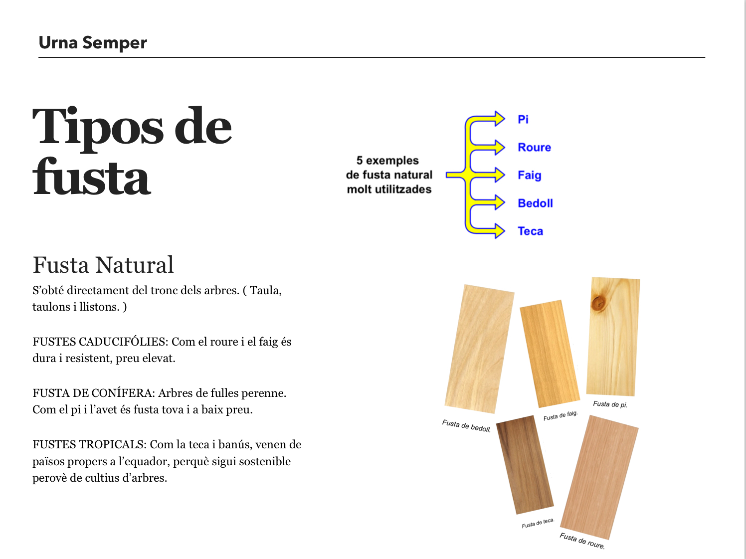 Alexandra Gendrel: Tipos de fusta