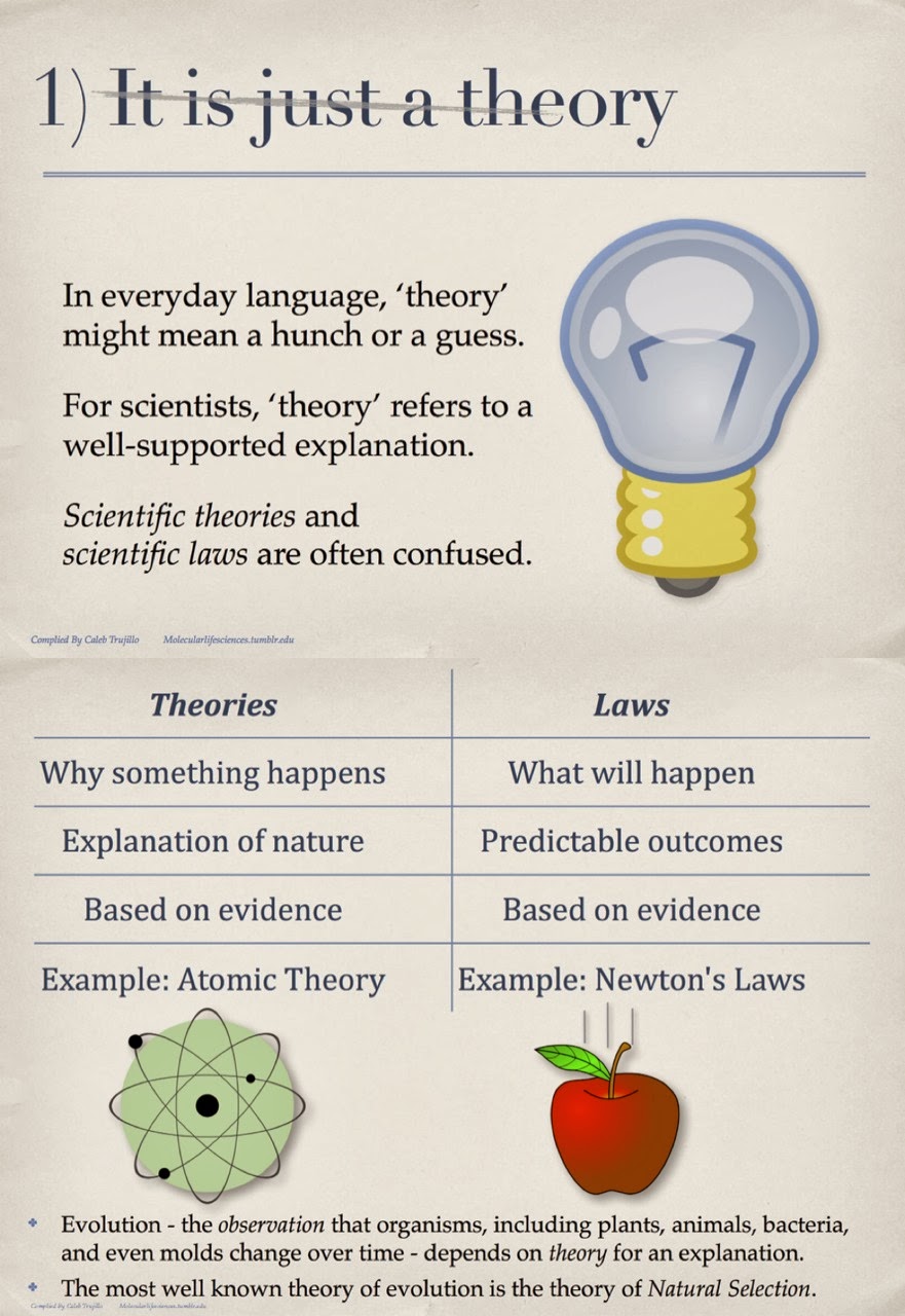 Misconceptions About Evolution