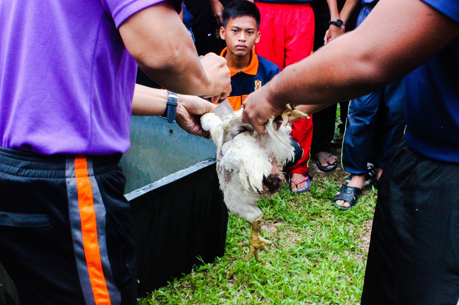 Kursus Sembelihan SMSTJ | PASCA PT3 2016 | Kem Generasi Hebat 2016