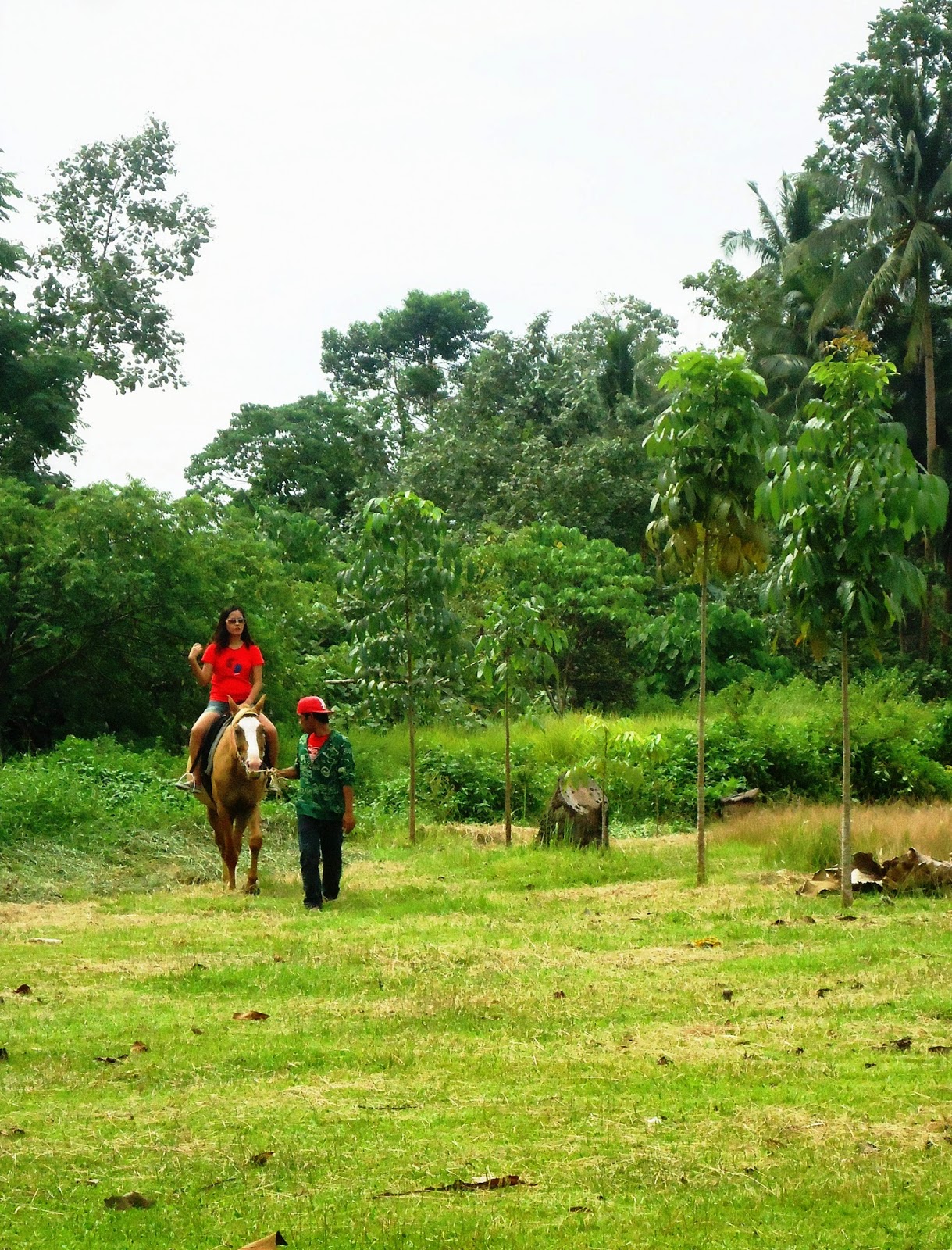 IT'S MORE FUN IN THE PHILIPPINES :-): CALO HORSE FARM