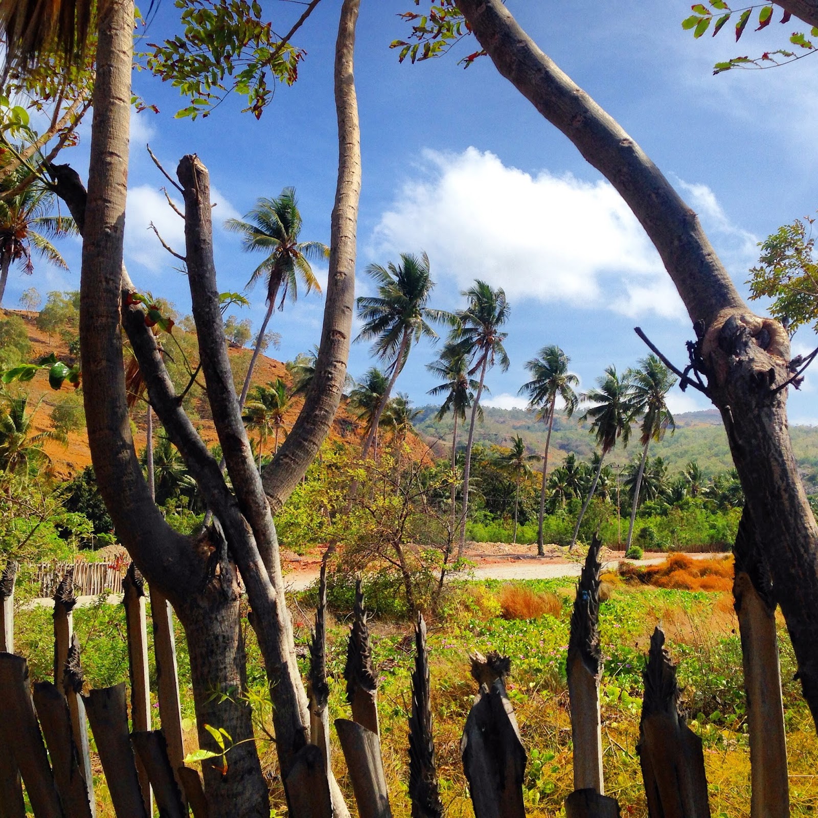 SOUL FIRE: Atauro Island - Timor Leste