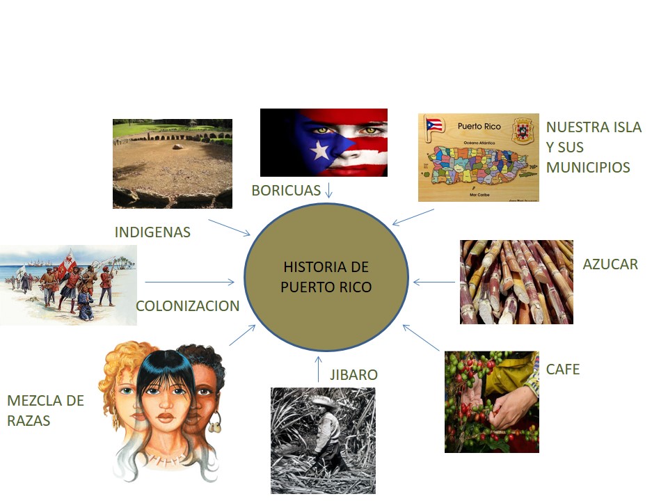 Historia en Puerto Rico: Cultura.