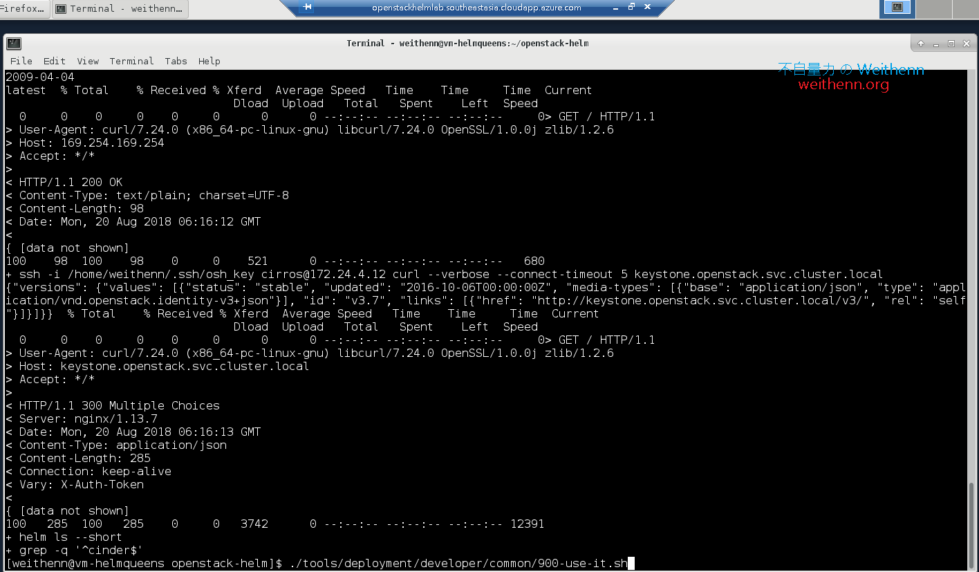 CentOS 7.5 透過 Helm 安裝 OpenStack Queens ~ 不自量力 の Weithenn