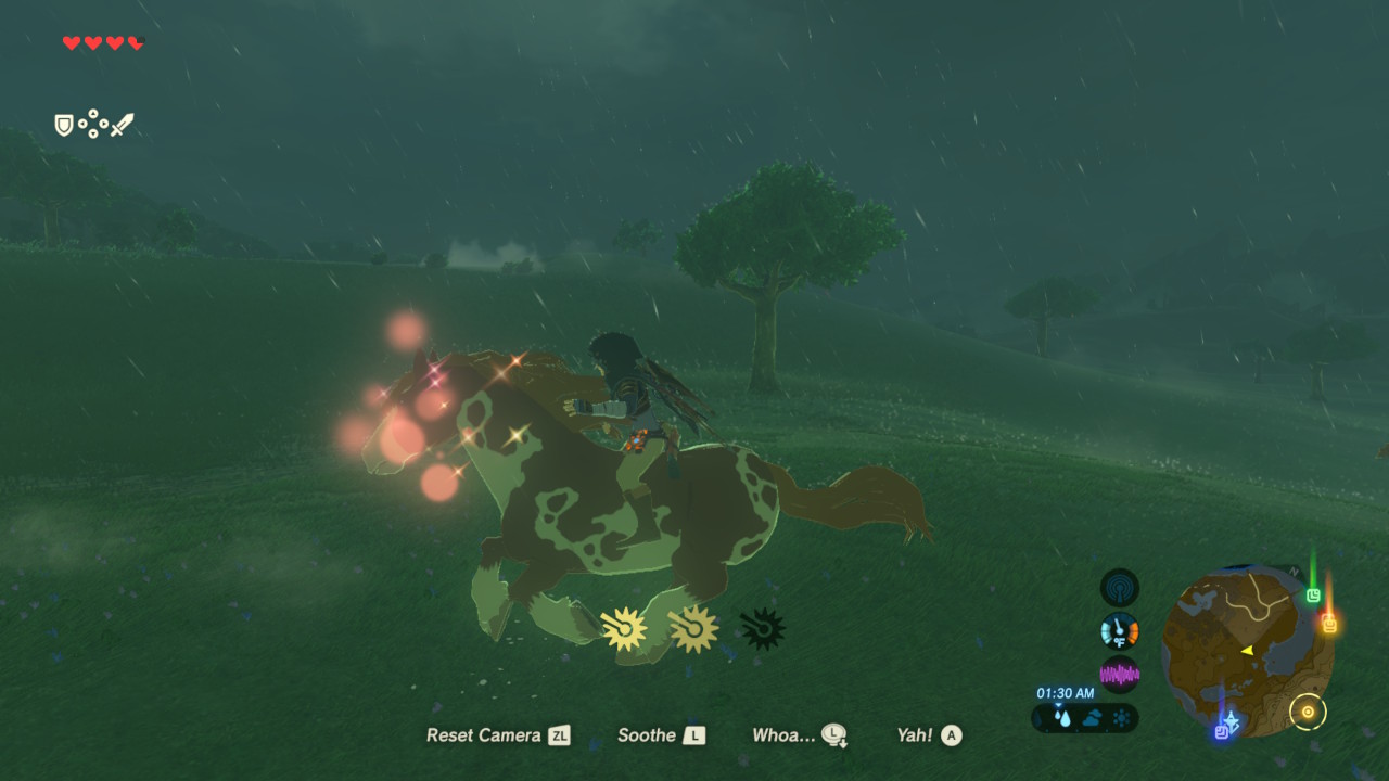 Termina Fields Forever