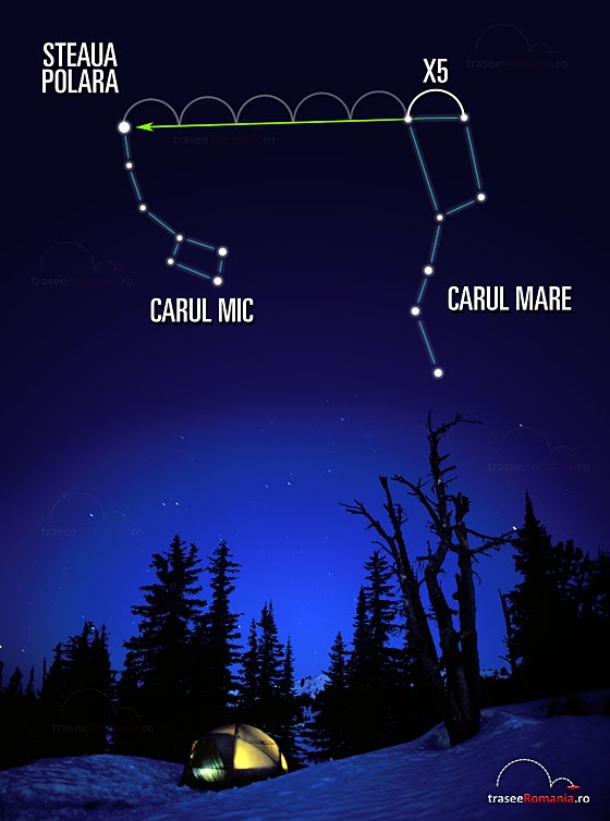 Reduceri mereu !!: Carul mic si Carul mare