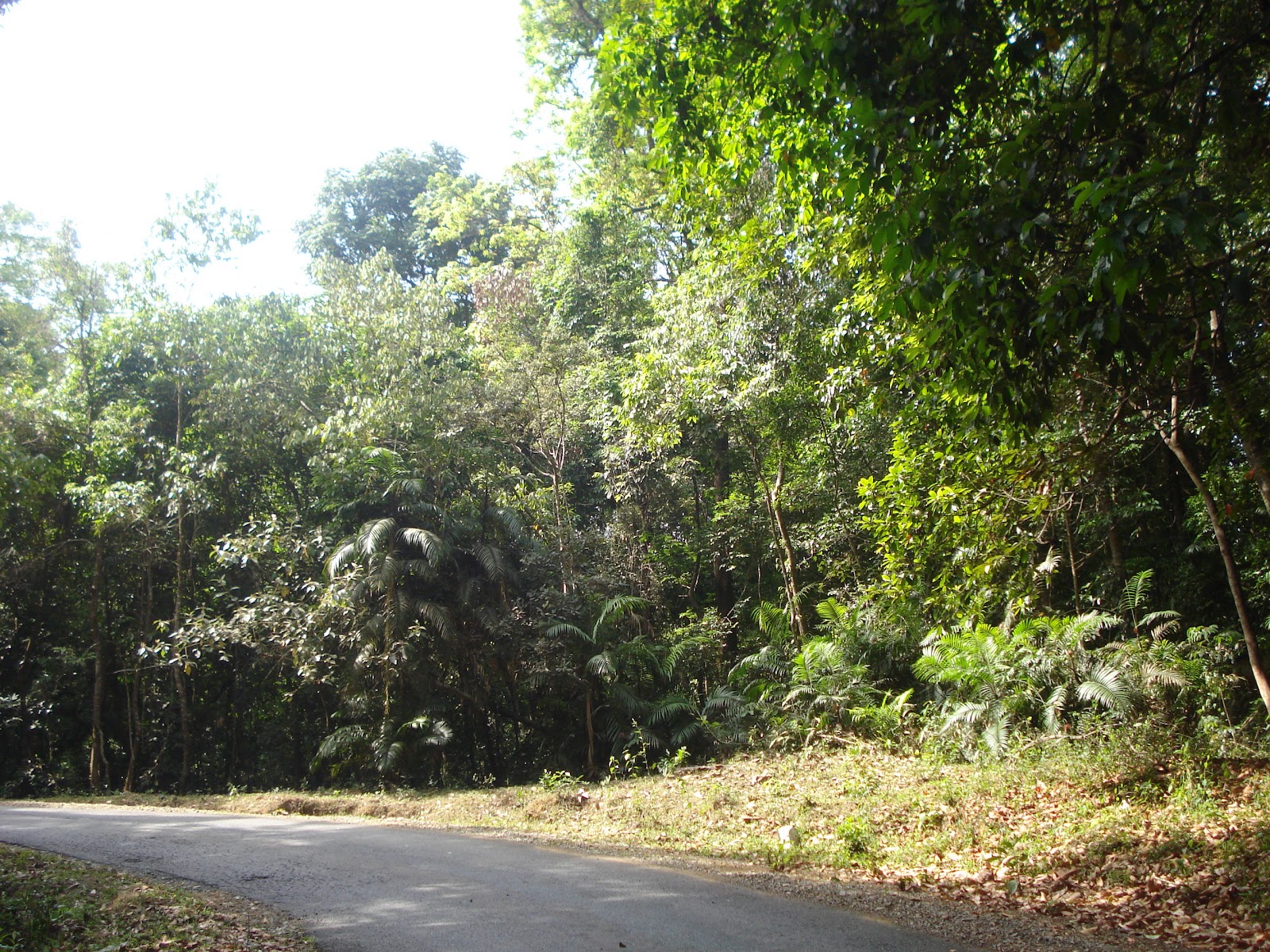 ULAVI, AKALAGAVI, WATER FALLS IN UTTARA KANNADA: TRIP IN BIKE 29/4/2012 ...