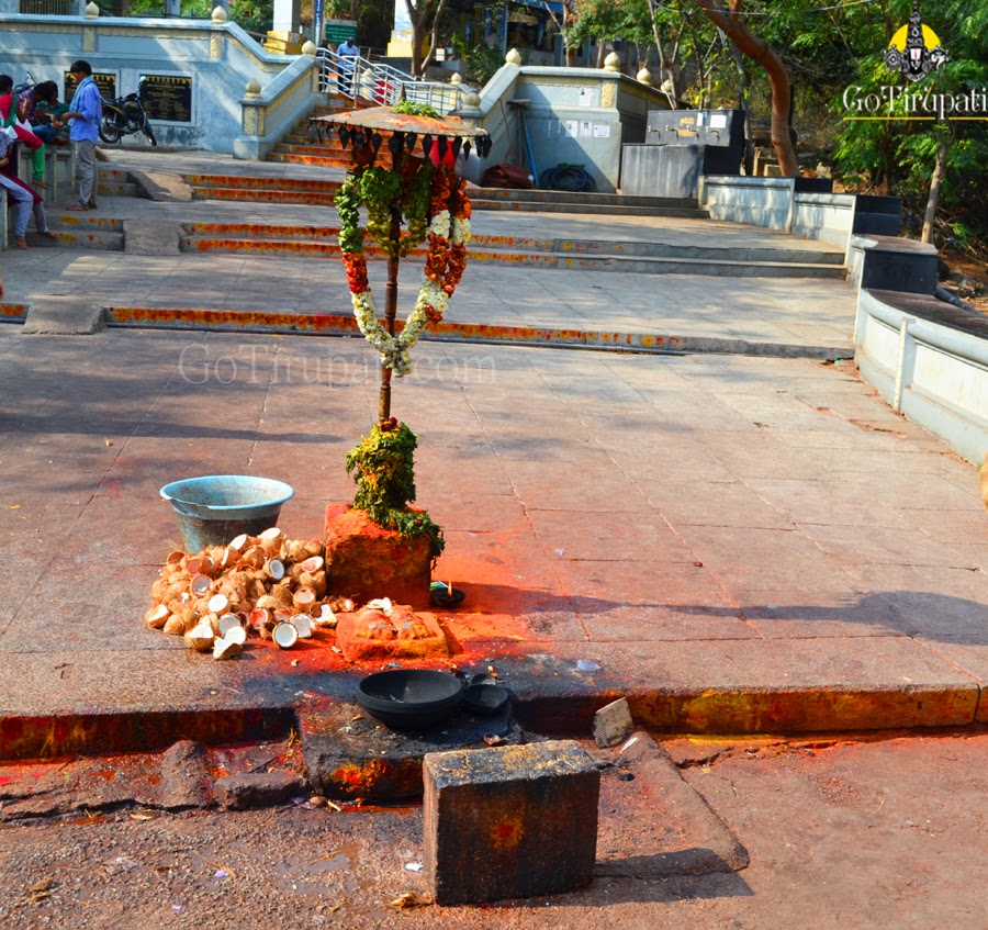 GoTirupati: TIRUMALA DIVYA DARSHAN TOKENS, DIVYA DARSHAN TOKEN COUNTERS