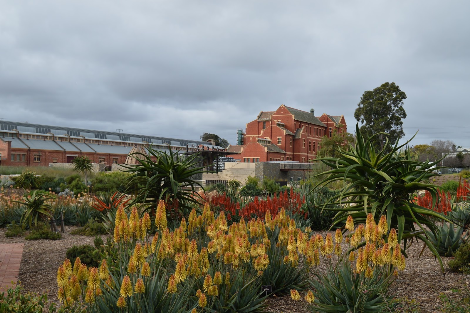Adelaide : Botanical Garden