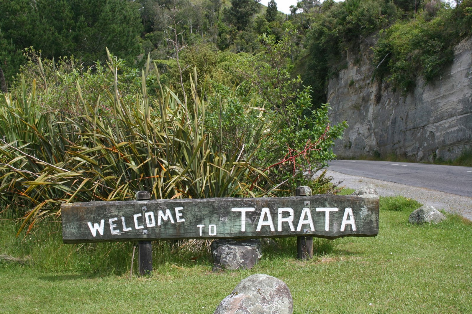 autawablog: Piriti Tarata NZ