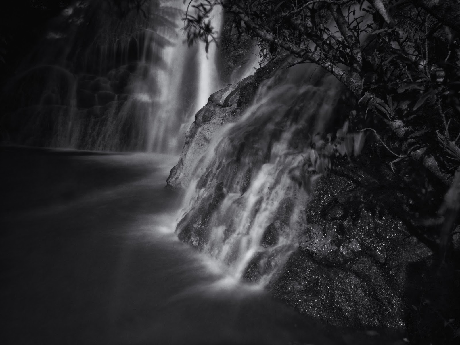 Voyage of Bravo: Vanuatu wrap-up - Maewo and Pentecost Islands