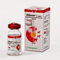 Técnicas de anestesia TIVA : Técnicas de anestesia general inyectable TIVA