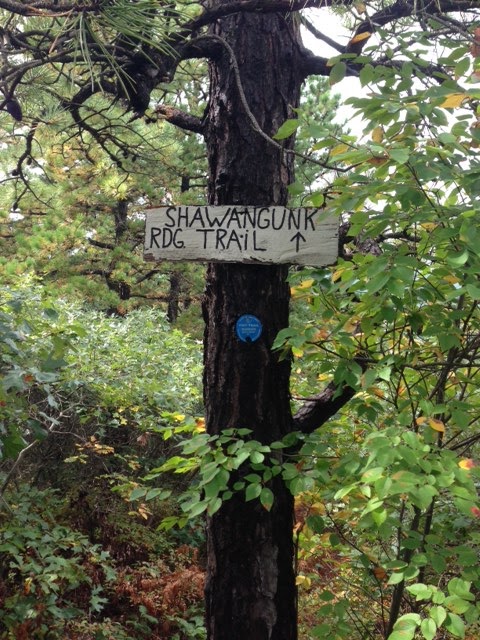 The Botanical Hiker: Shawangunk Ridge Trail