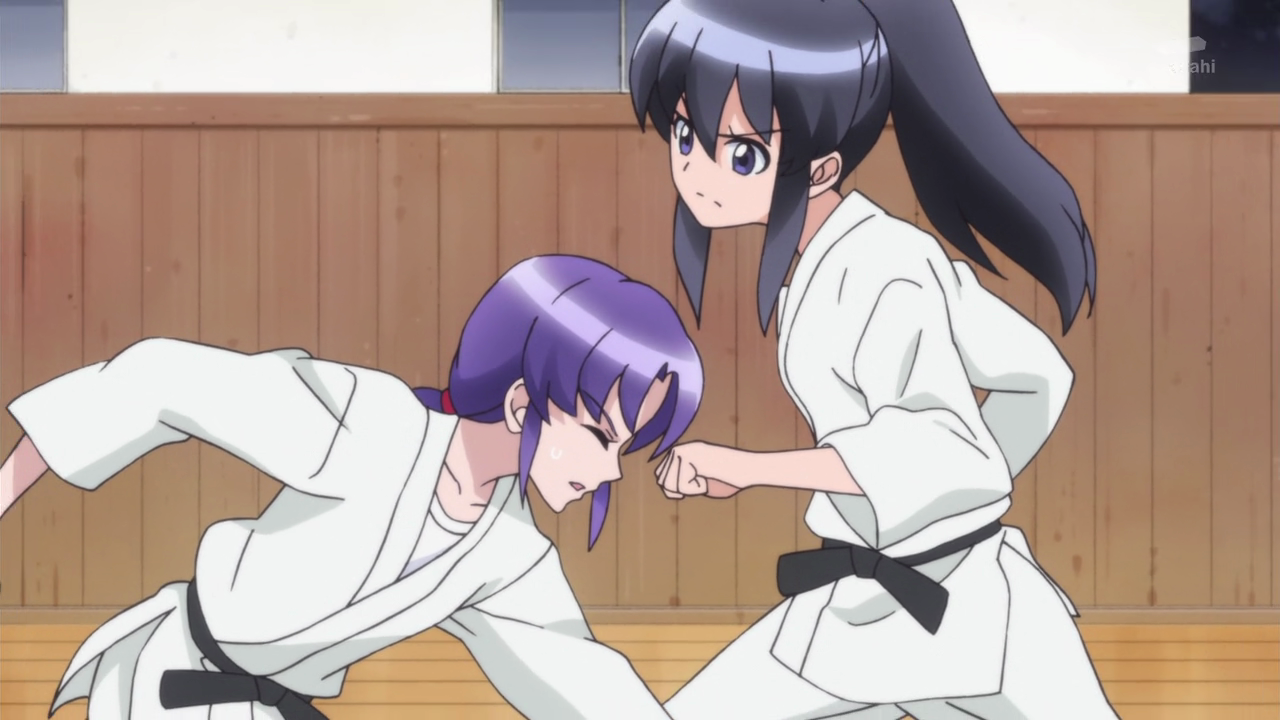 Hall of Anime Fame: Happiness Charge Precure Ep 39: A Promise to Keep