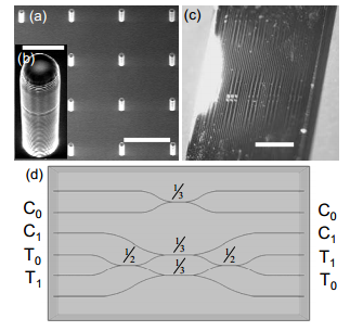 Controlled NOT gate could be scaled for photonic quantum computing ...