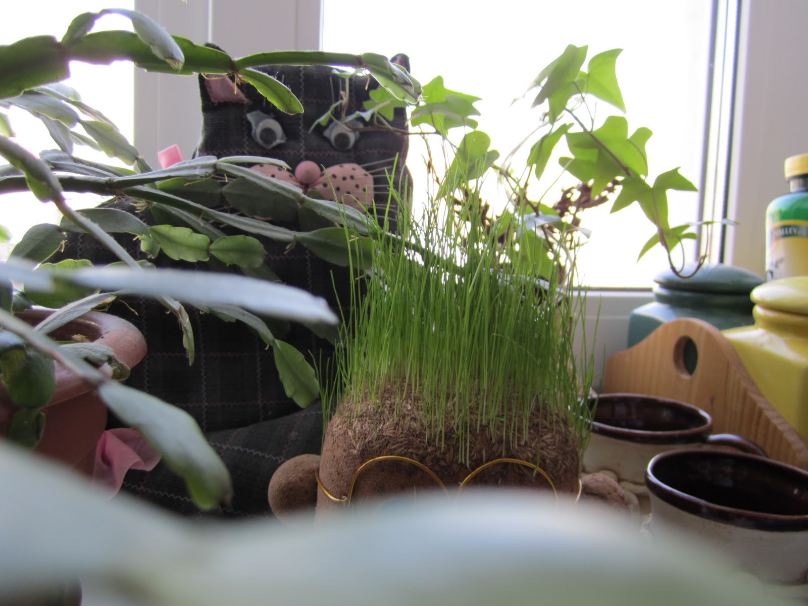 Arla's whereabouts: Mr. Grass -- a Story That Will Grow
