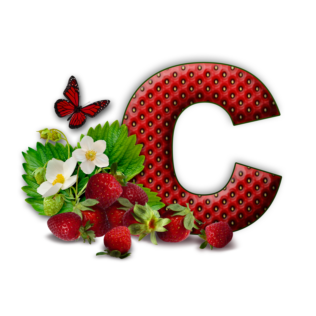 Heraldry of Life: 5.ART IN ARTISTIC ALPHABETS