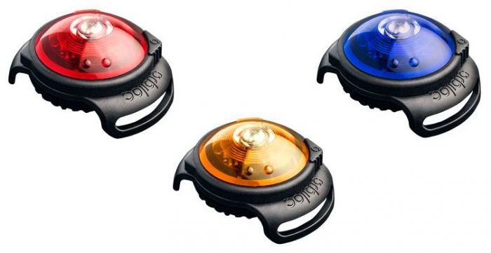 Nedre Norrlands Beagleklubb: Glöm inte reflexerna!