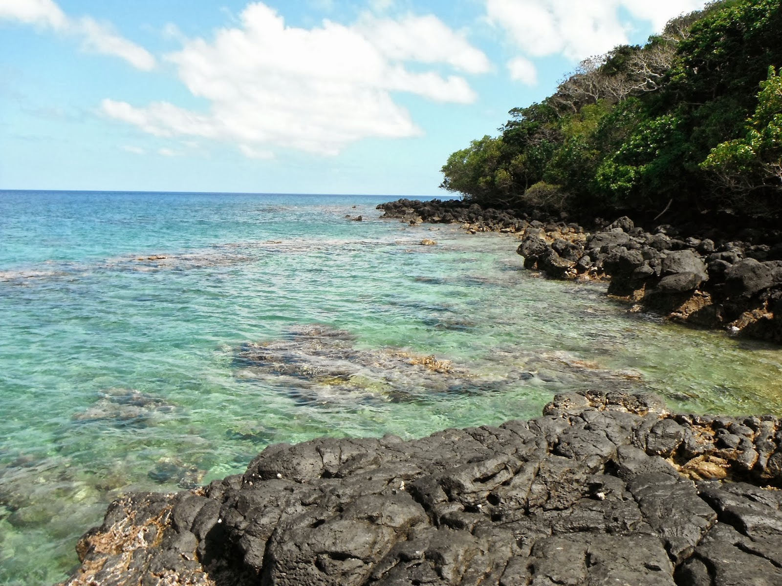 Starship - To Boldly Go...: Koro Island