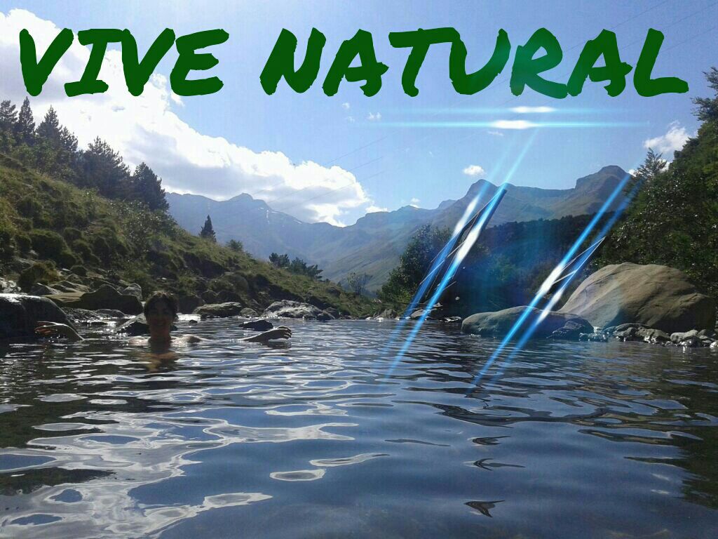 TERAPIA DE POLARIDAD: Vive natural