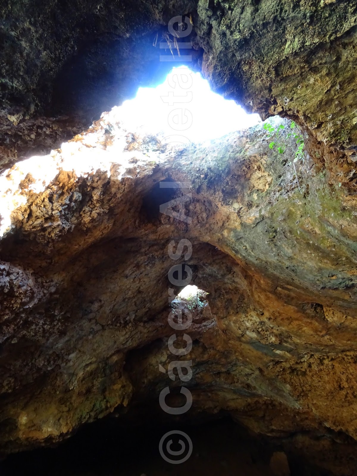 LA CUEVA DEL CONEJAR, AL DETALLE