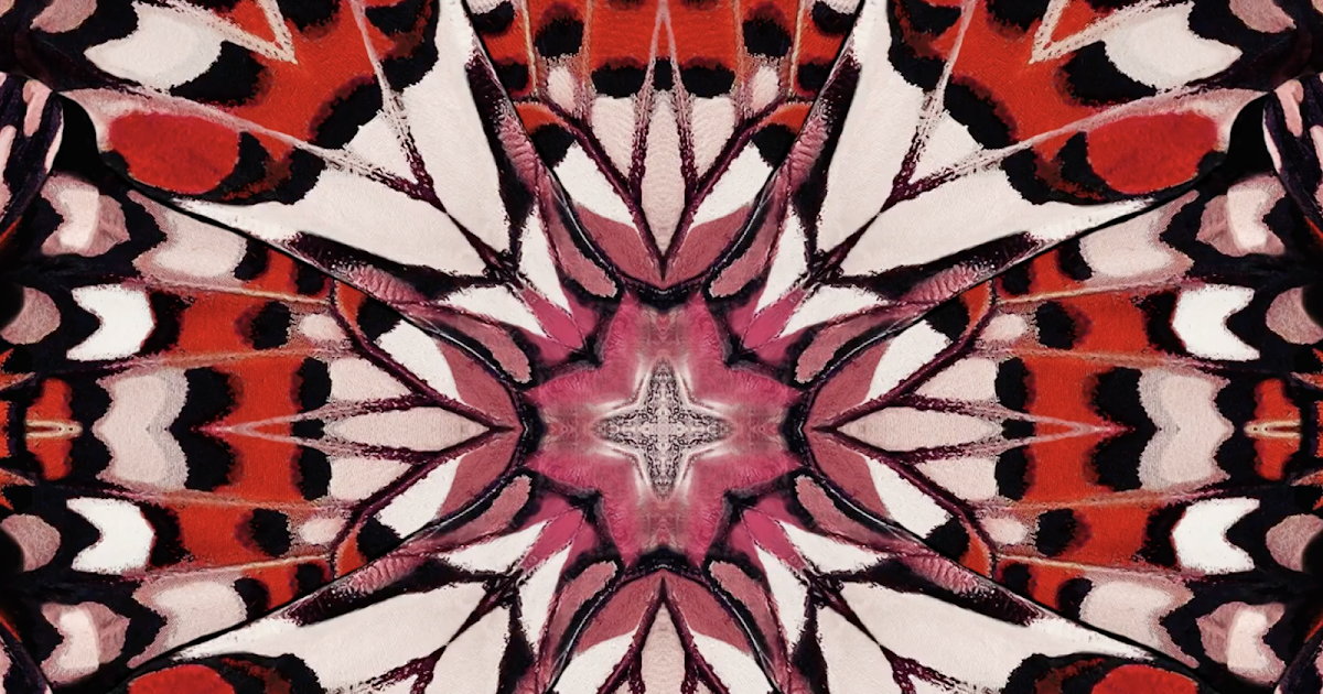 Alexander Mcqueen Pattern