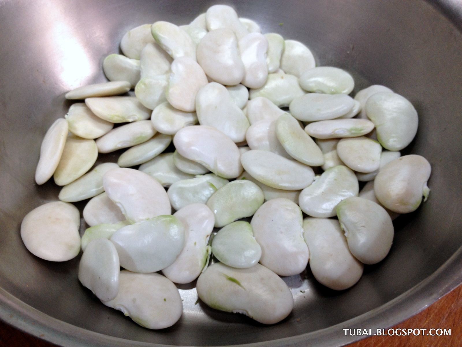 TUBAL: GARROFÓN O GARROFÓ DE VALENCIA