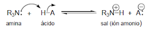 quimica organica UAMI: AMINAS