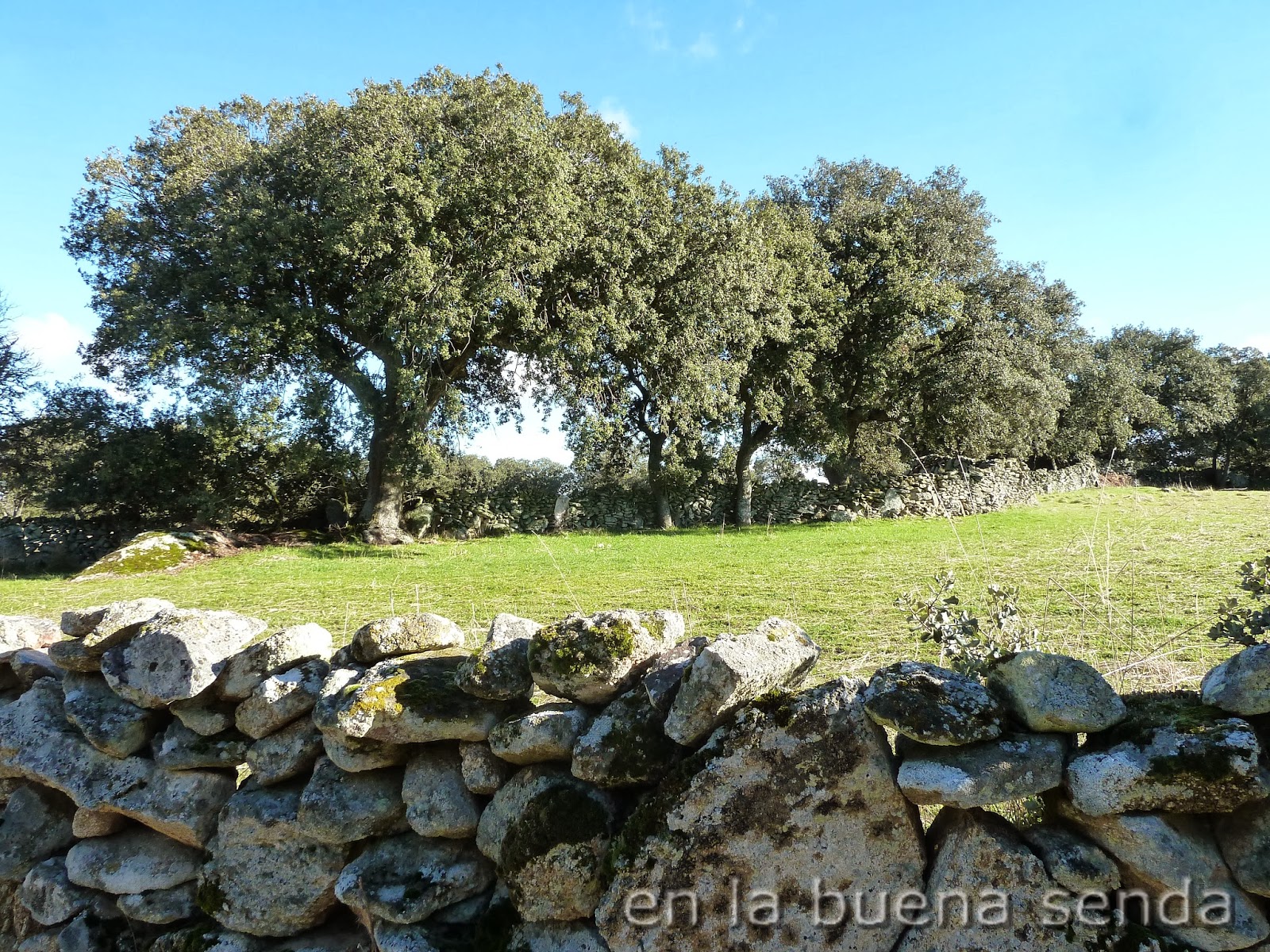 en la buena senda: Por tierras de Sayago