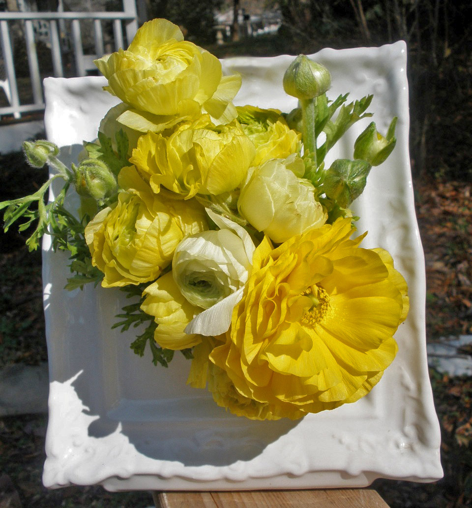 MARIETTE'S BACK TO BASICS: {Large Delft White Picture Frame Vase}