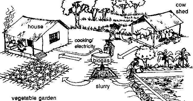 agriculture: Integrated farming system