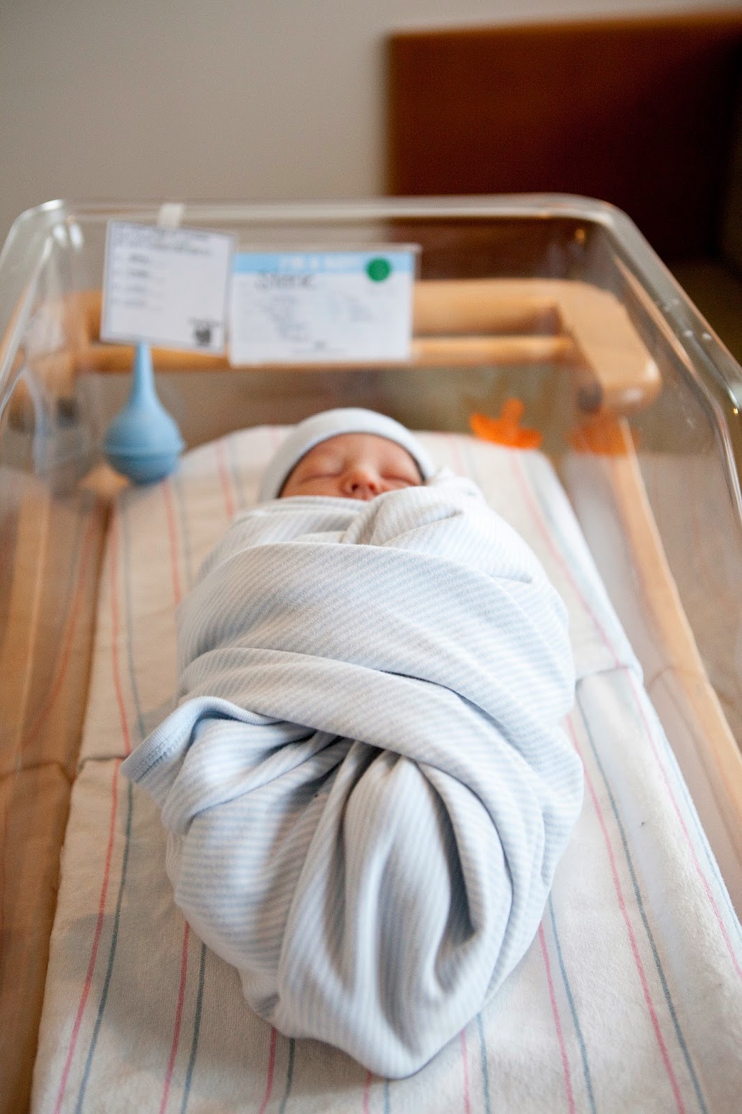 Alia Steele Photography