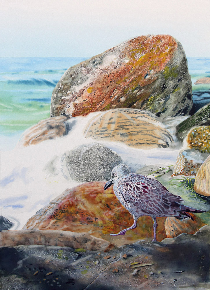 Artist Elizabeth Tyler: 2016