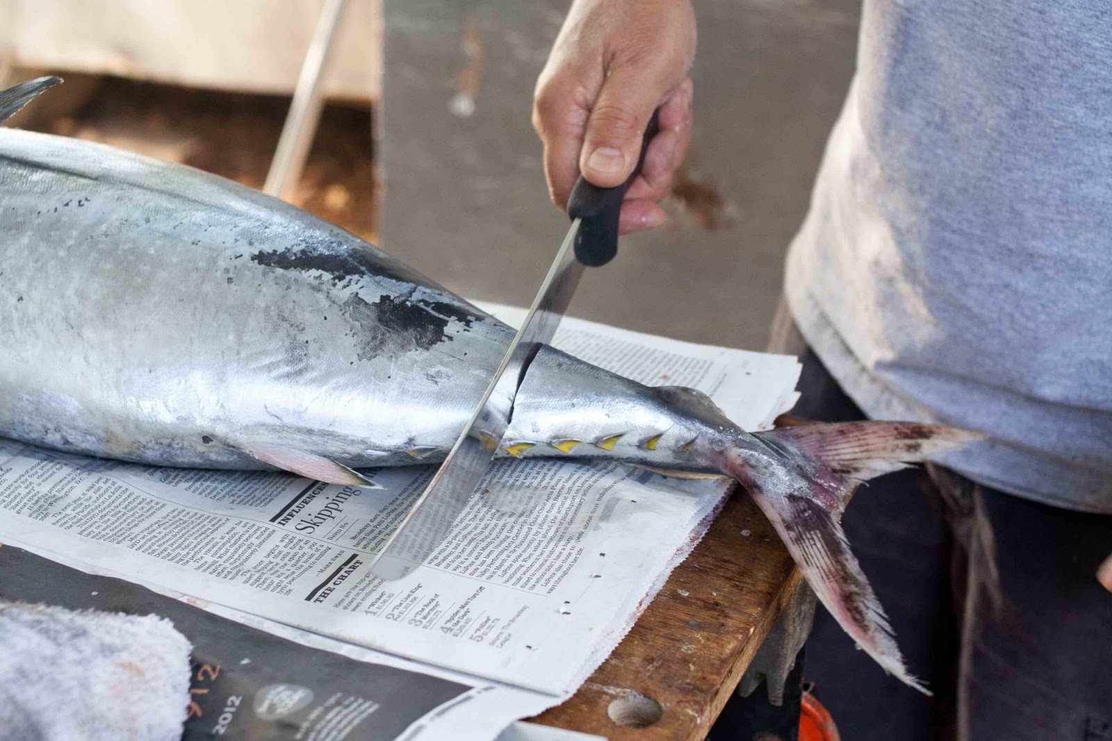 FOODjimoto: Sashimi--Pacific Bluefin Tuna