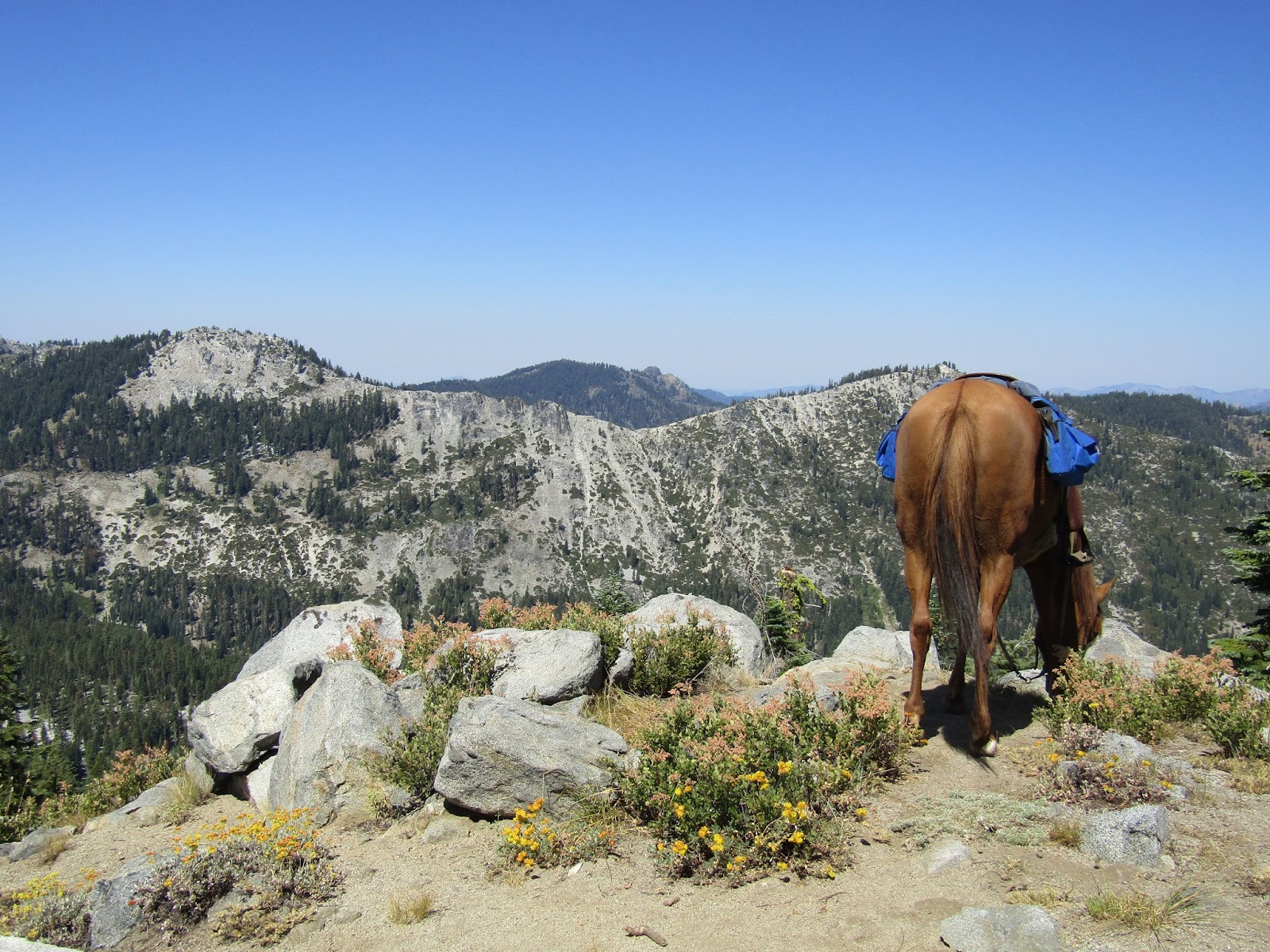 Holly's Horse Tales and Trails: Hidden Horse Equestrian Campground and ...
