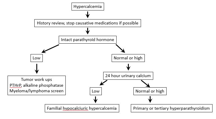 Pathology of parathyroid