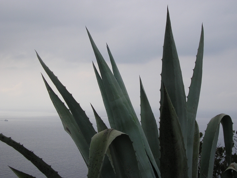 Main Belt Astrology: (5731) Zeus, sharp and pointy objects, with high ...