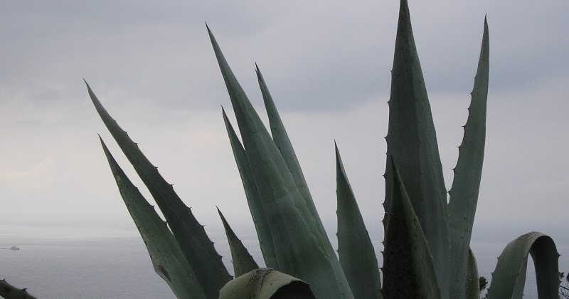 Main Belt Astrology: (5731) Zeus, sharp and pointy objects, with high ...